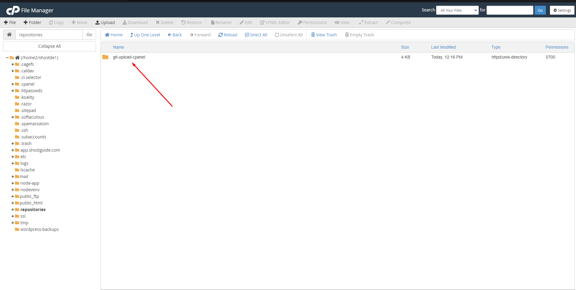 Step-by-Step Guide to Clone a GitHub Repo in cPanel - StormerHost SupportStormerHost Support